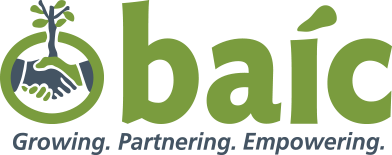 Maintenance Page 2024 - BAIC